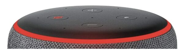 Why is My Alexa Yellow? All The Explanations | The WiredShopper