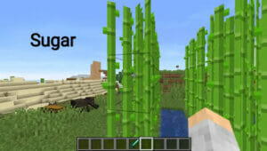How to Make a Fermented Spider Eye in Minecraft Step-by-Step
