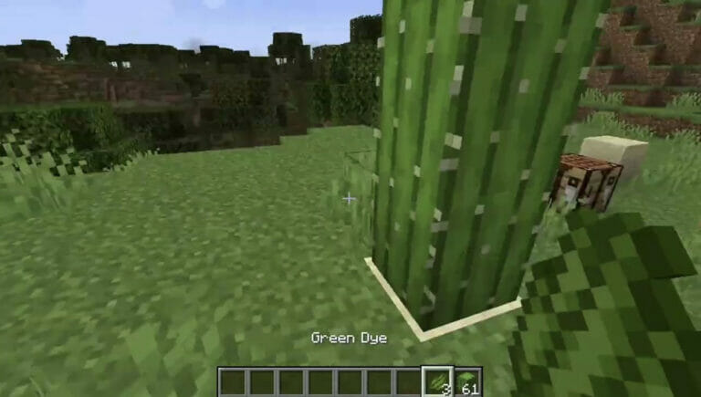 How to Get Green Dye in Minecraft - A Step-by-Step Guide