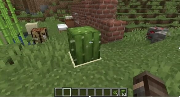 How to Get Green Dye in Minecraft - A Step-by-Step Guide